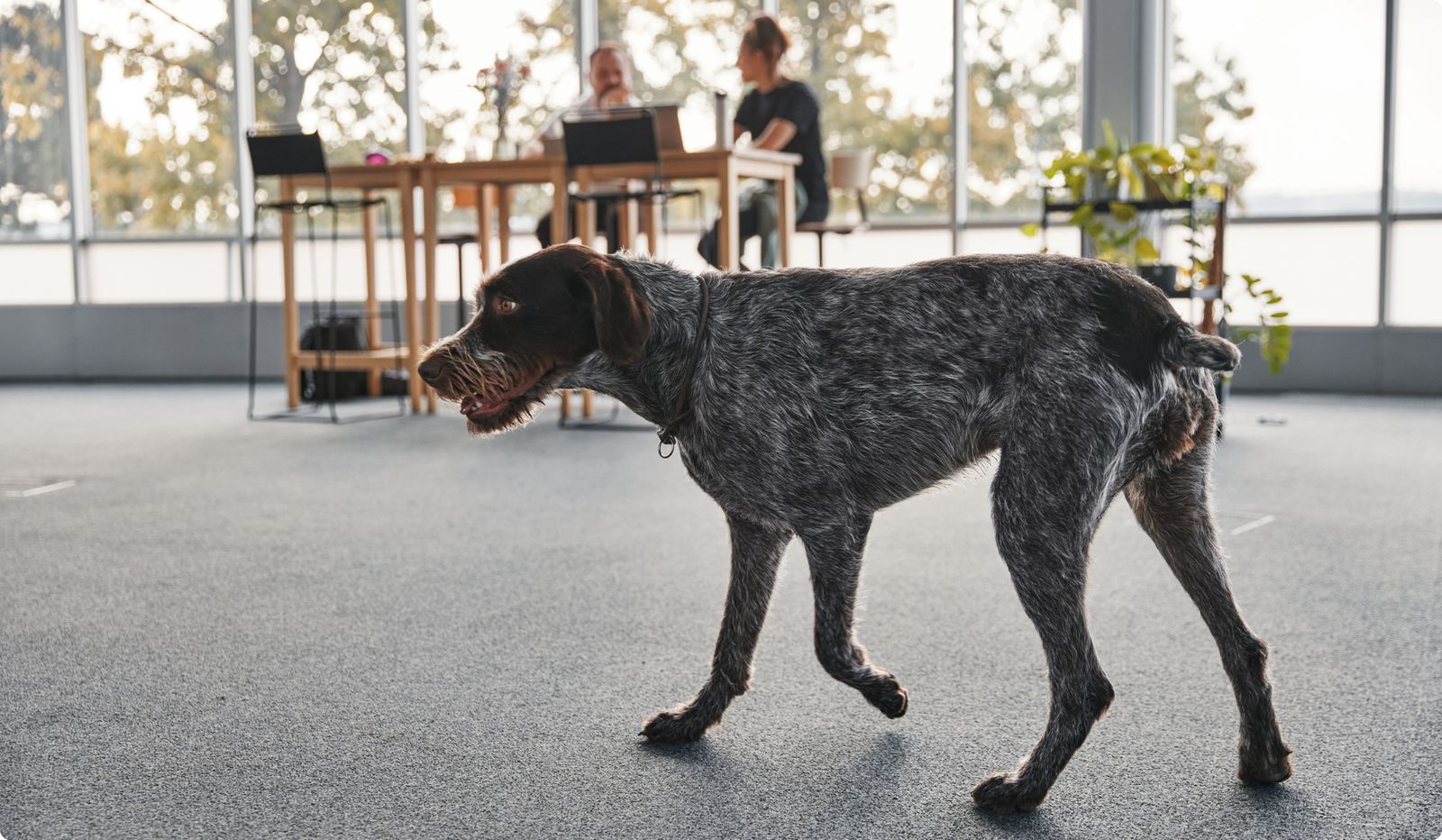 Careers | Creative Dock